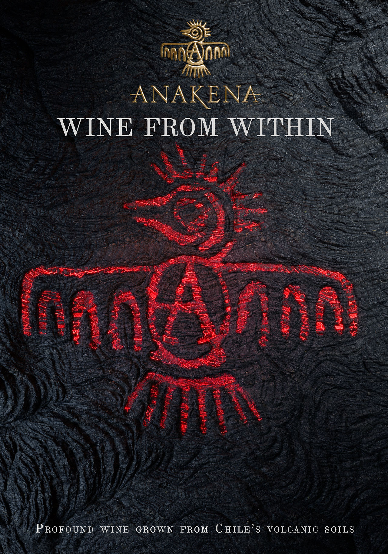 Lava, Land, and Labels: Rebranding Anakena Wines for the Global Market ...