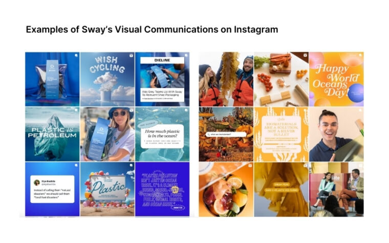 Sway: An Inspiring Case Study of a Regenerative Brand with a Powerful ...